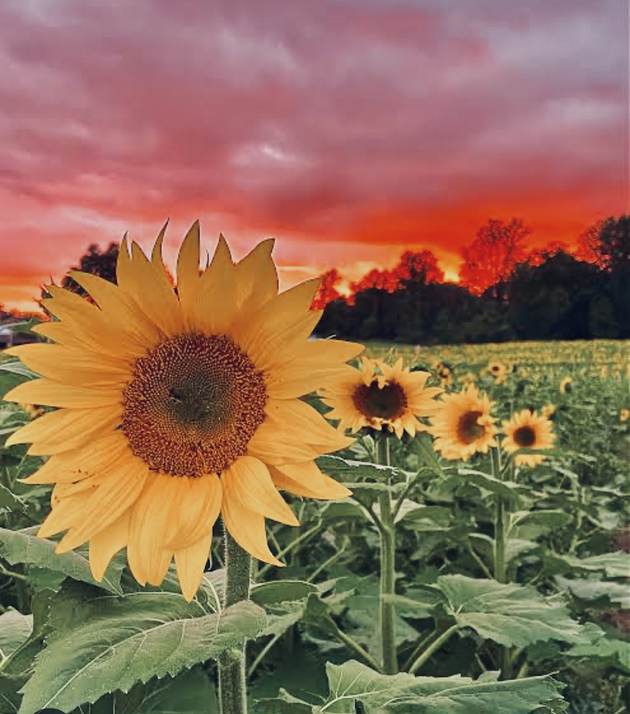 Life and side effects – life journey with cancer